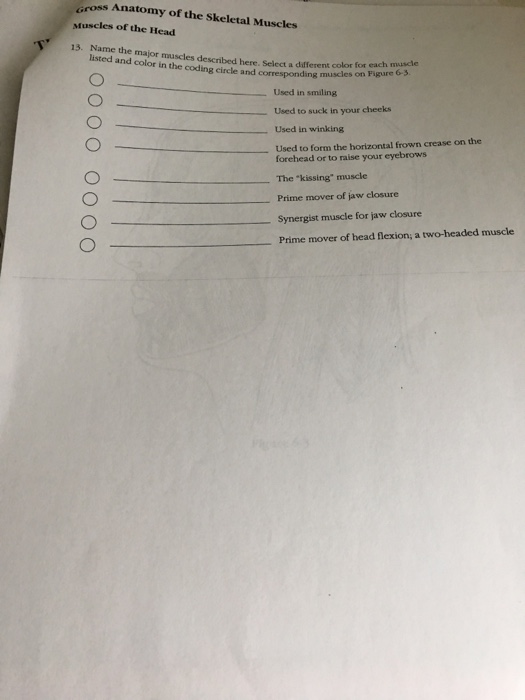 Skeletal Muscle Activity Chapter 6