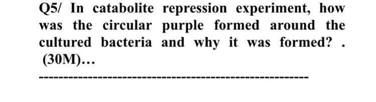 Q5/ In catabolite repression experiment, how was the | Chegg.com