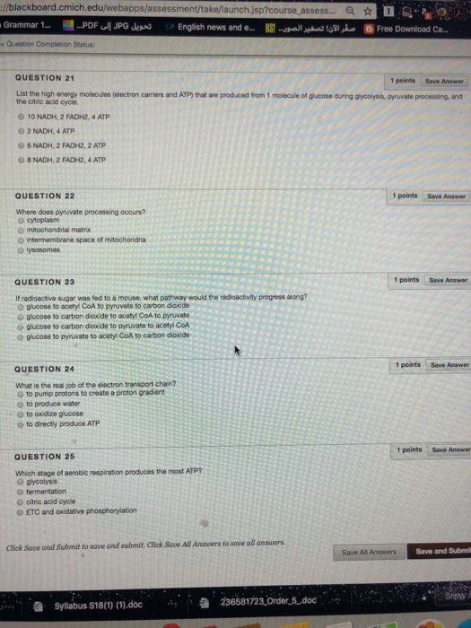 Solved blackboard.cmich.edu/webapps/assessment/take/la | Chegg.com