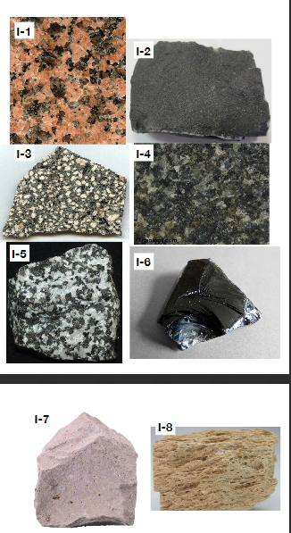 Solved INTRODUCTORY GEOLOGY IGNEOUS ROCKS 20. Sample I1 is | Chegg.com