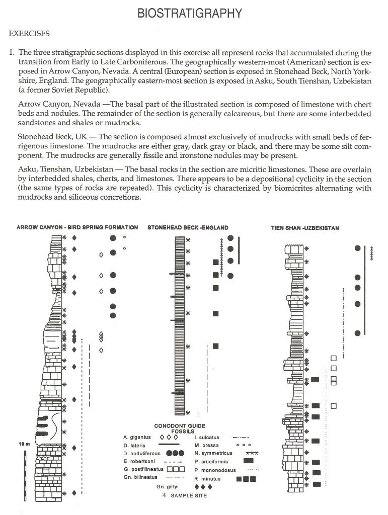 Solved EXERCISES 1. The three stratigraphic sections | Chegg.com