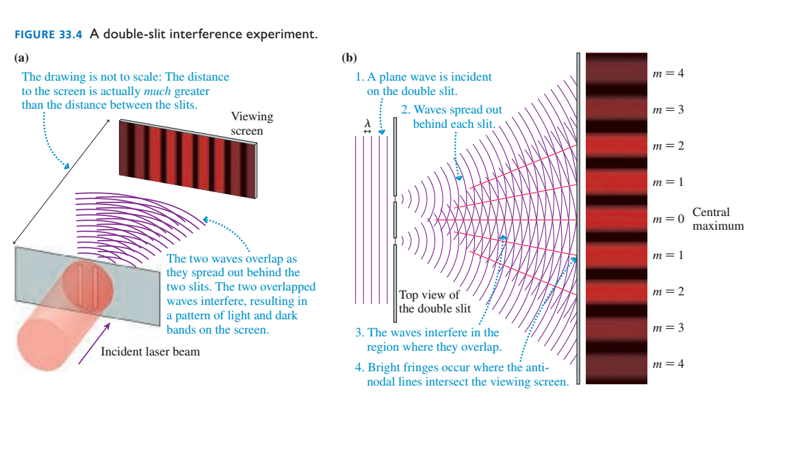 Solved Suppose the viewing screen in Figure 33.4 is moved | Chegg.com