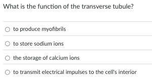 Solved What is the function of the transverse tubule?to | Chegg.com