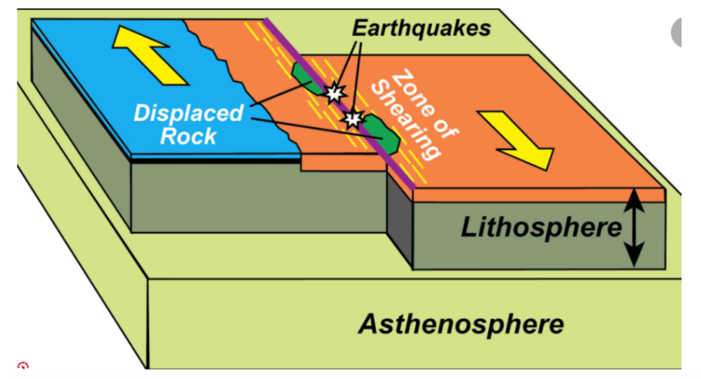 Solved Look at this diagram.This diagram could be used to | Chegg.com