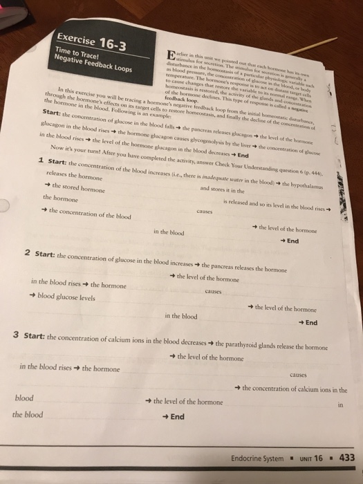 Solved Procedure 2 Time to Trace Let's now trace the entire | Chegg.com