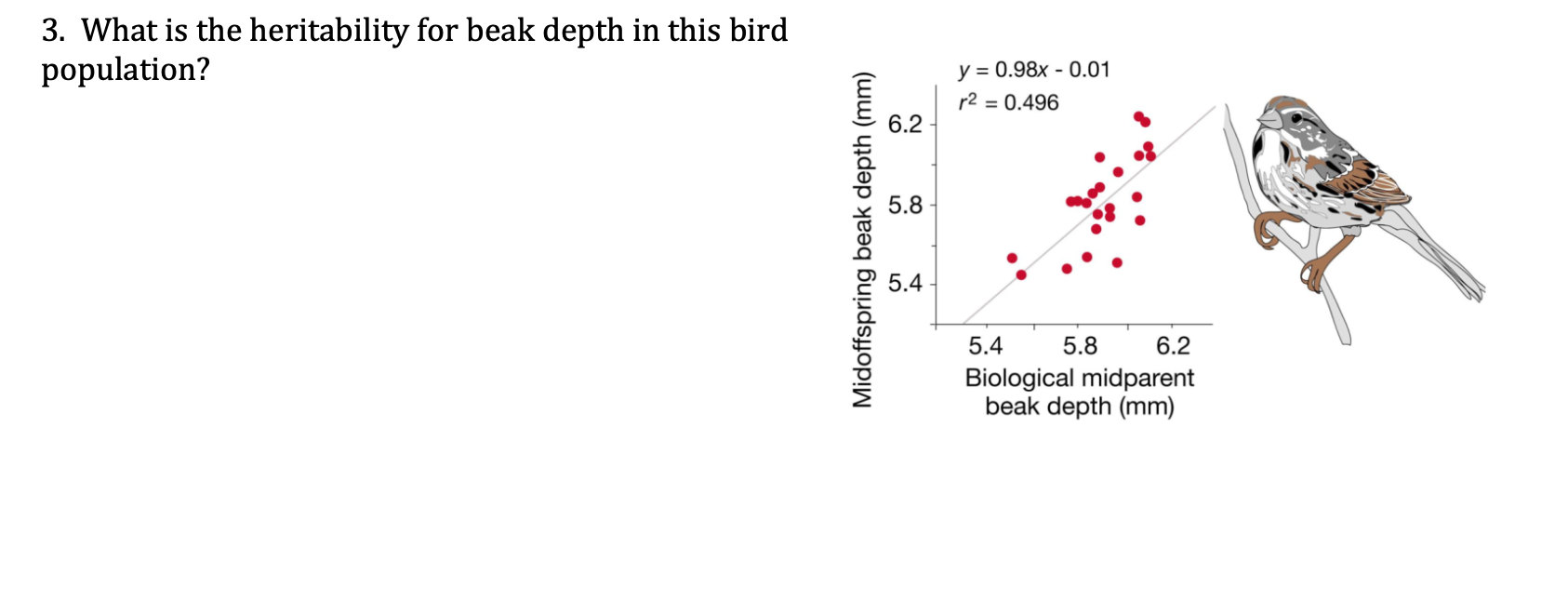 Solved 3. What is the heritability for beak depth in this | Chegg.com