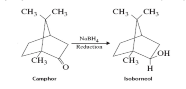 Solved The reduction of camphor reaction requires 20.0 % | Chegg.com