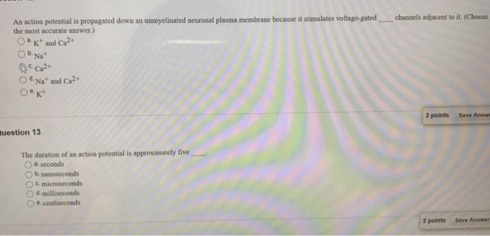 Solved An action potential is propagated down an | Chegg.com