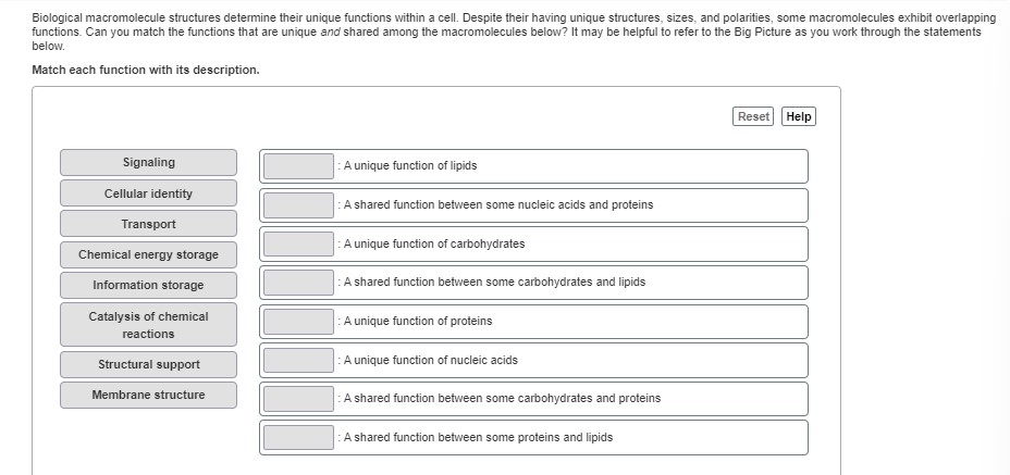 Solved Biological macromolecule structures determine their | Chegg.com