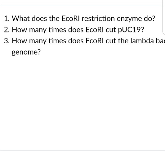 Solved 1. What does the EcoRI restriction enzyme do? 2. How | Chegg.com
