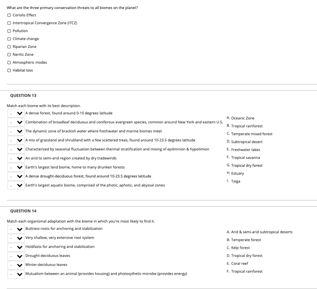 Sub Tropical Root System