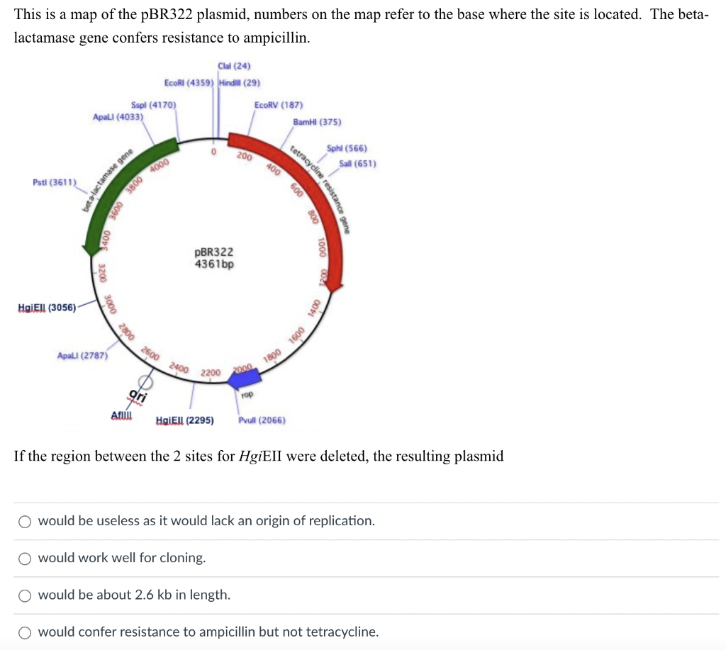 Solved This is a map of the pBR322 plasmid, numbers on the | Chegg.com