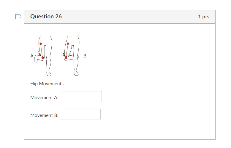 Solved Complete the following Lab Activity on Movement | Chegg.com