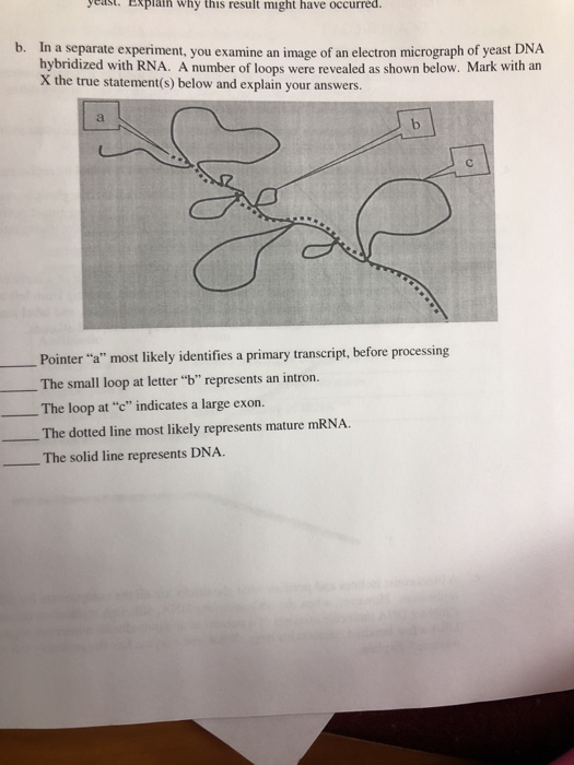 Solved t EXplain why this result might have occurred. b. In | Chegg.com