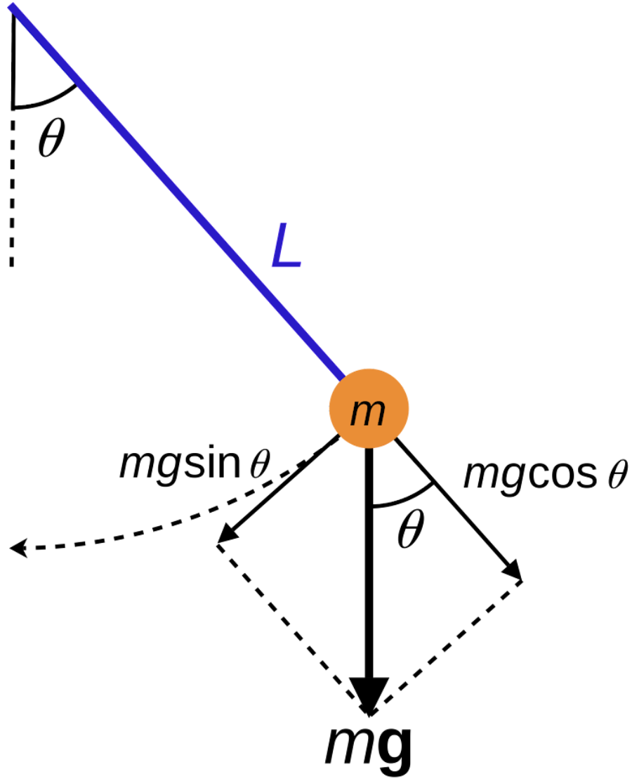 Solved 22a. A 1.8m long simple pendulum is allowed to swing | Chegg.com