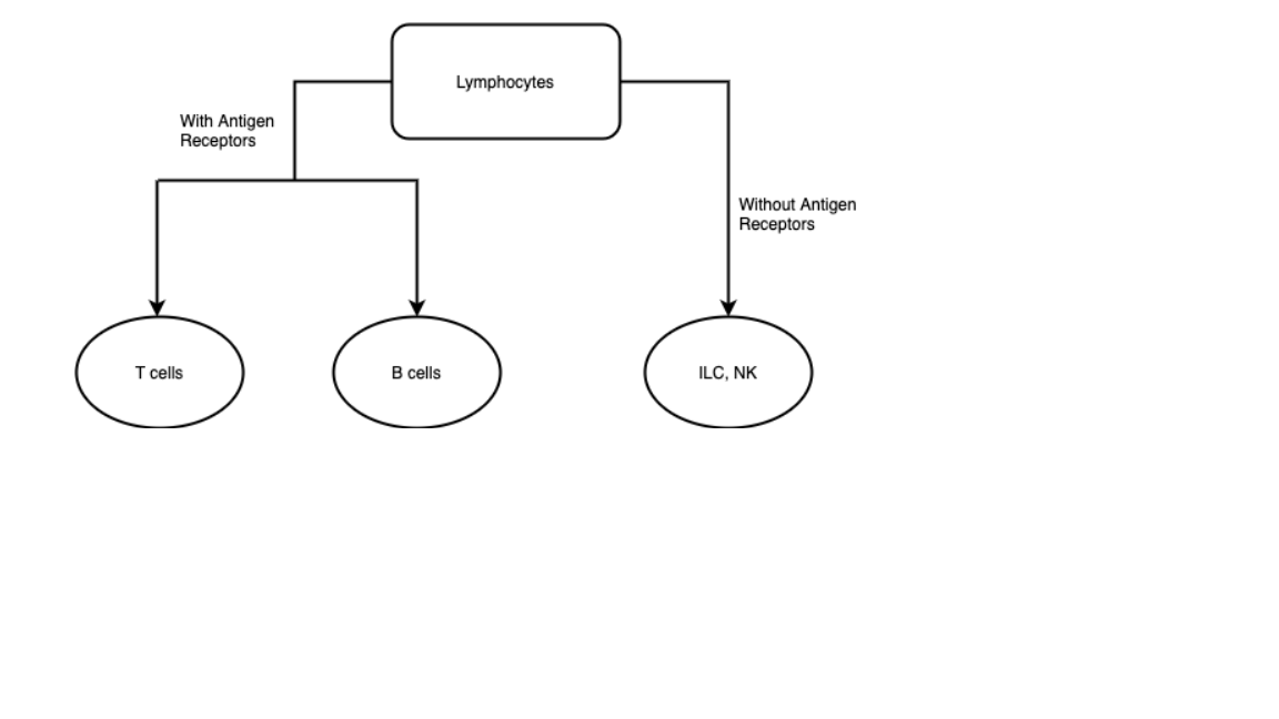 Solved Draw a concept map based on the following terms | Chegg.com