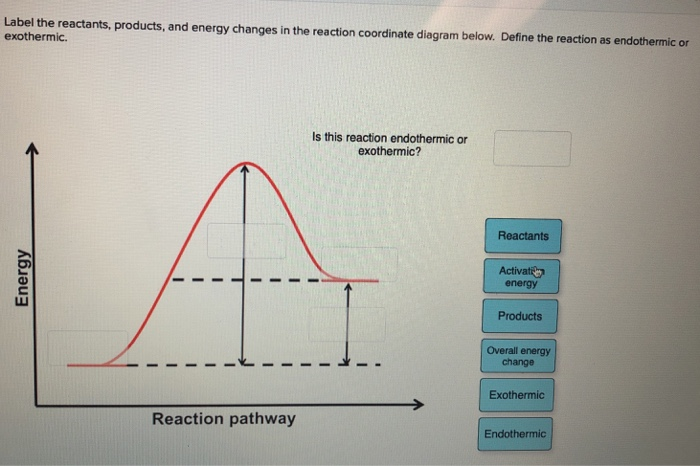 Solved Label the reactants, products, and energy changes in | Chegg.com