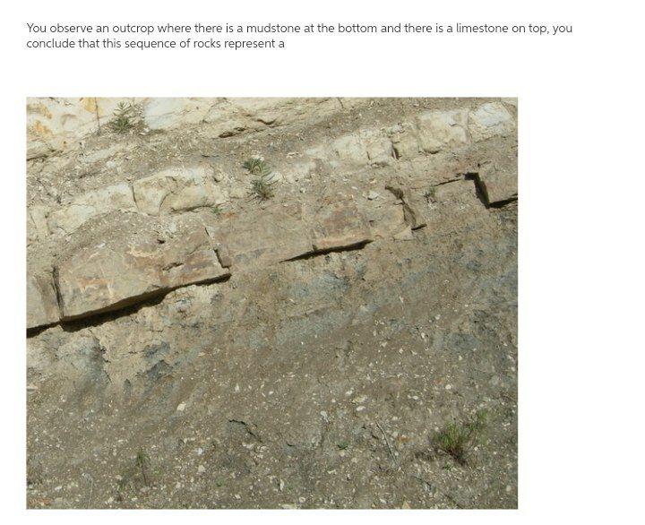 Solved You observe an outcrop where there is a mudstone at | Chegg.com