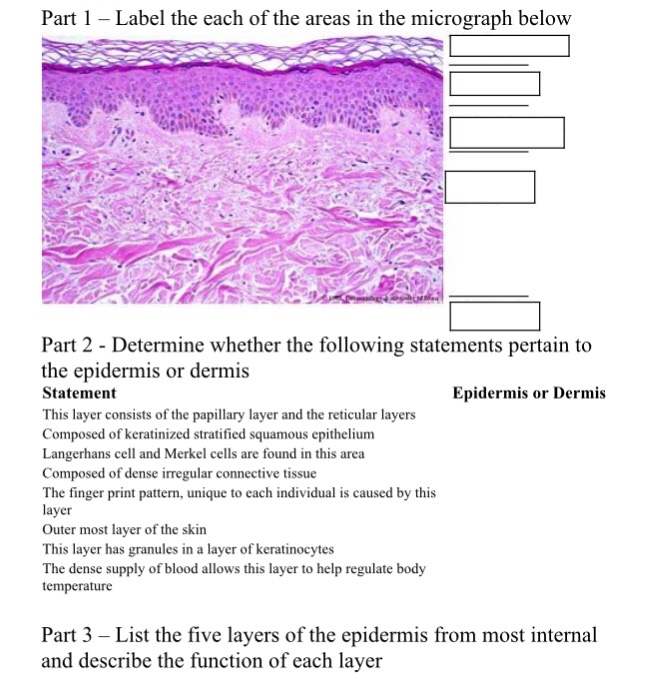 Solved Part 1 - Label the each of the areas in the | Chegg.com