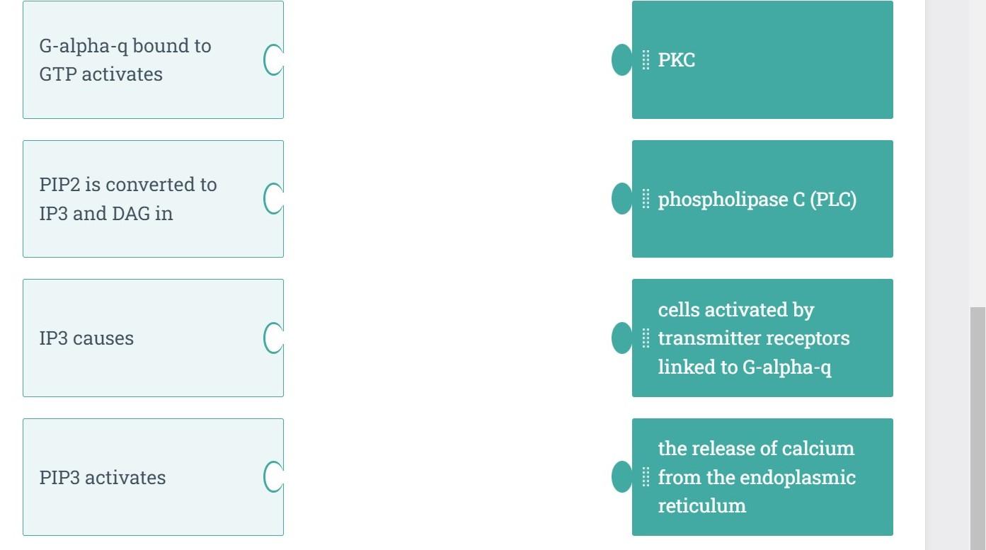 Solved text matching question Drag items from the column on | Chegg.com