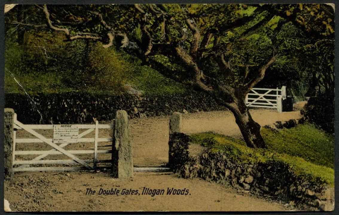NOTICE The Double Gates, Illogan Woods. | Chegg.com