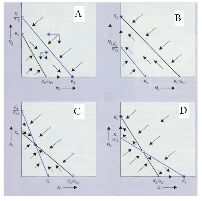 Solved Which of the following competition isocline scenarios | Chegg.com