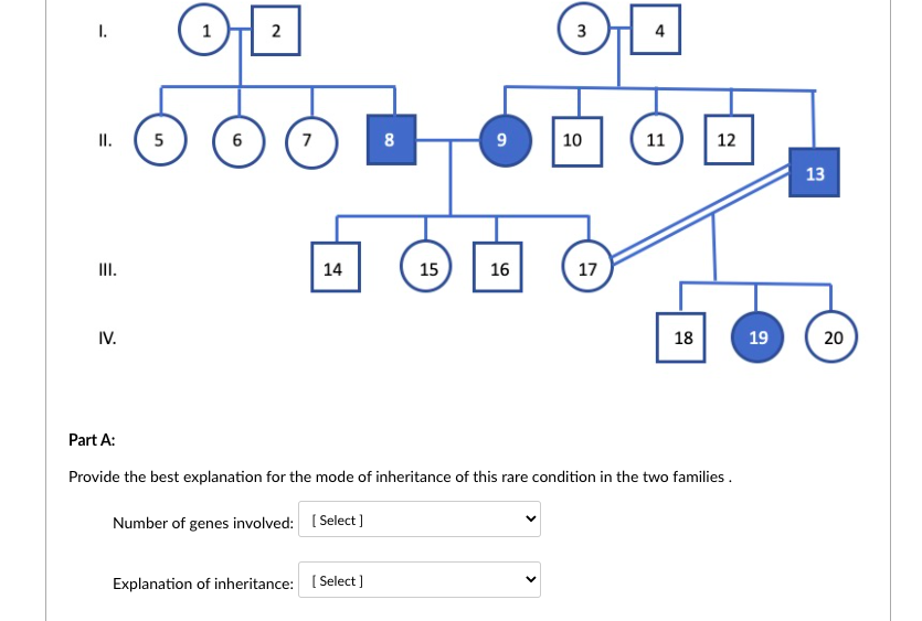 Solved Xeroderma pigmentosum Pedigree The following pedigree | Chegg.com