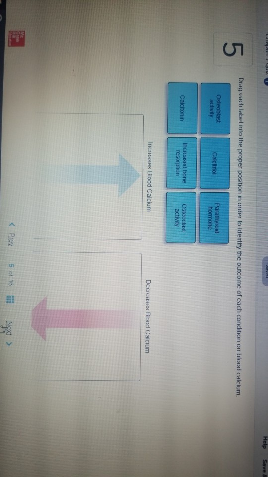 Solved Drag each label into the proper position in order to | Chegg.com