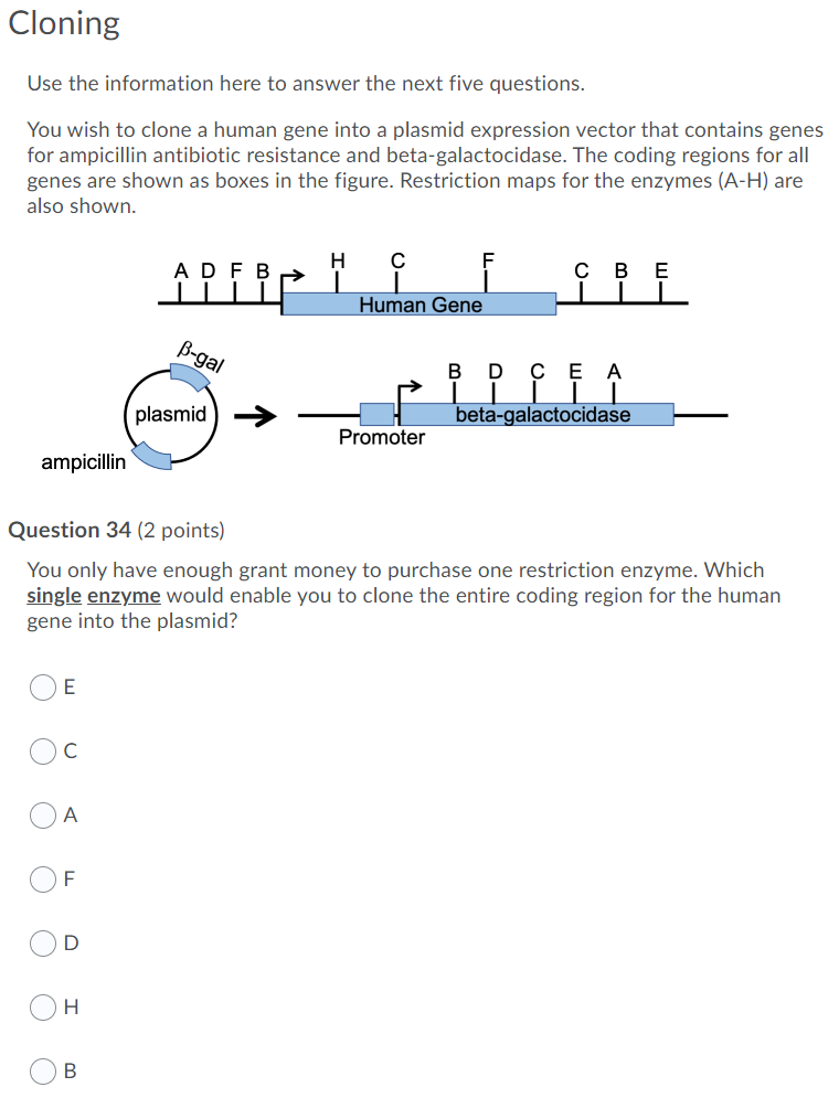 Solved Cloning Use the information here to answer the next | Chegg.com