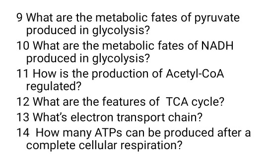 Solved 9 What are the metabolic fates of pyruvate produced | Chegg.com
