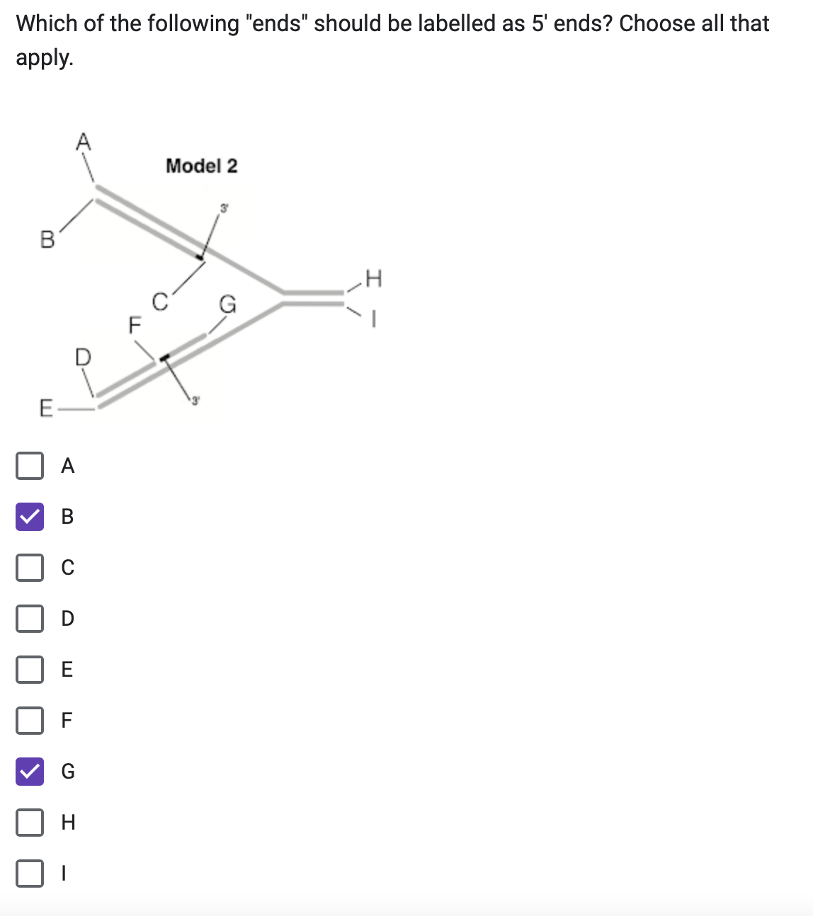 help me answer these questions please | Chegg.com