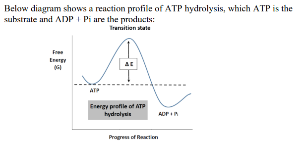 Solved Below diagram shows a reaction profile of ATP | Chegg.com