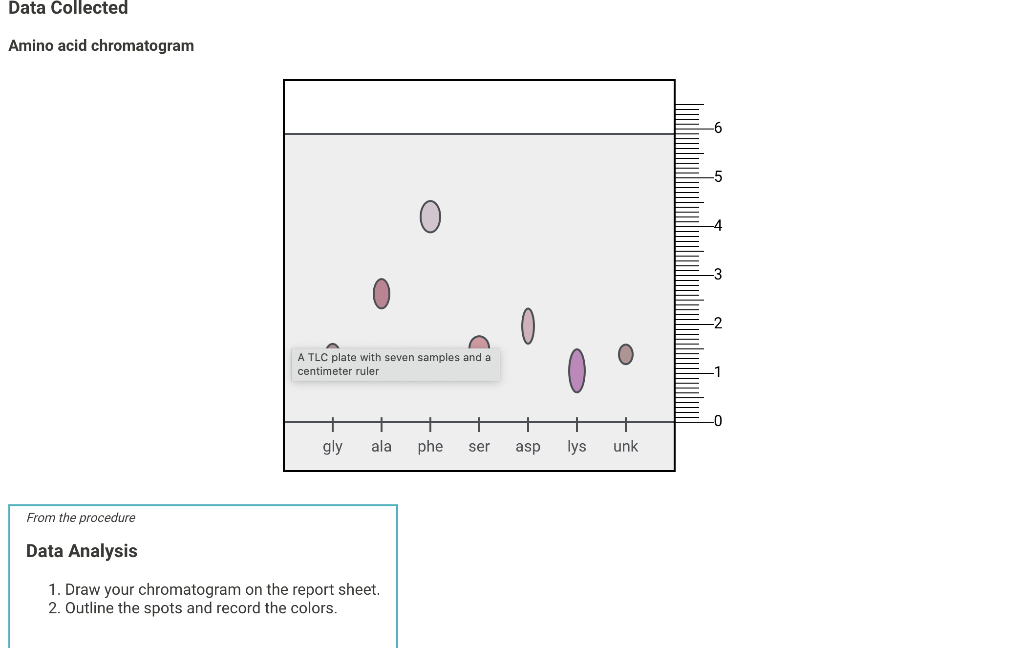 Report Table AA.2: TLC of Amino Acids Table view Dist | Chegg.com
