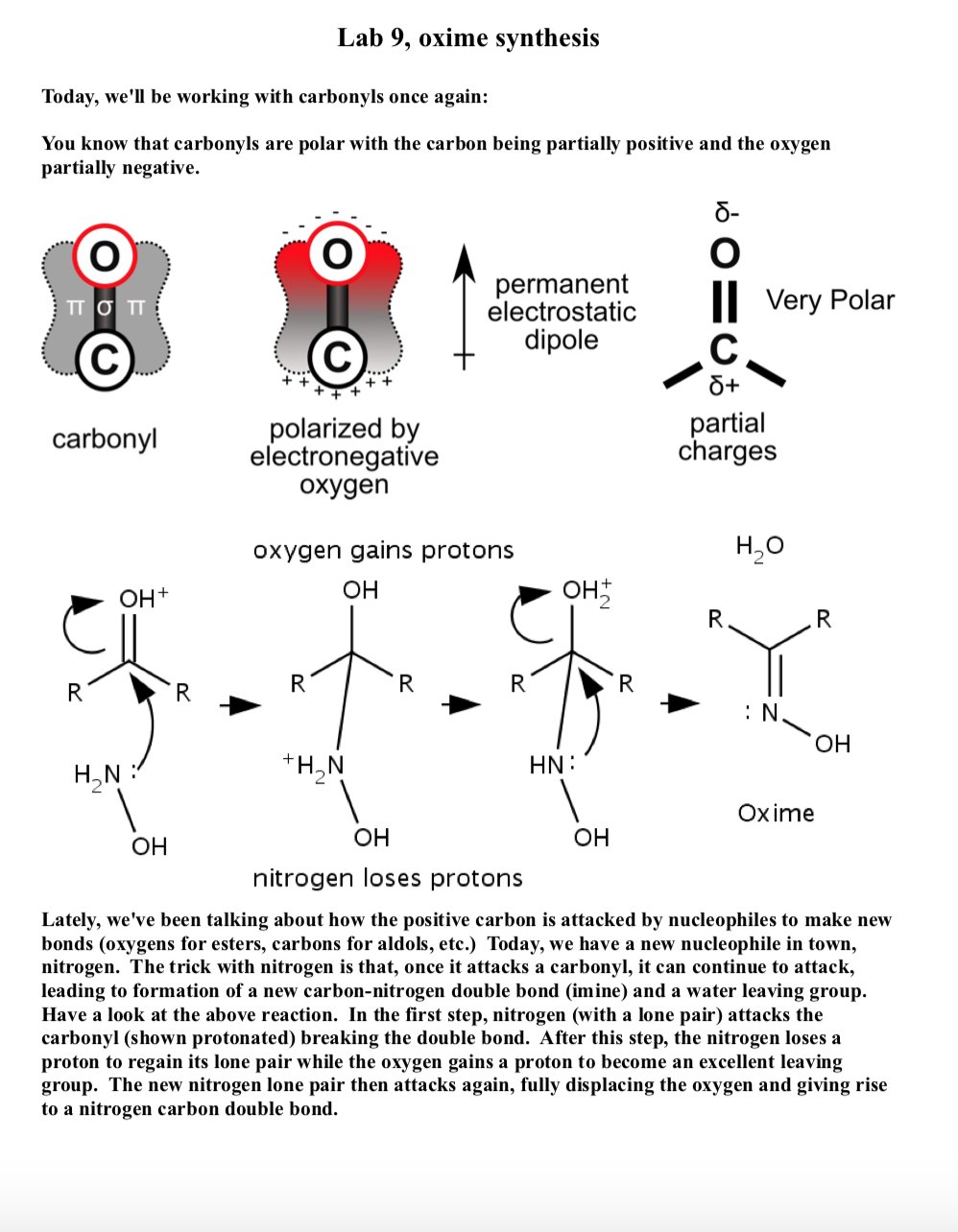 Solved Lab 9, oxime synthesis Today, we'll be working with | Chegg.com