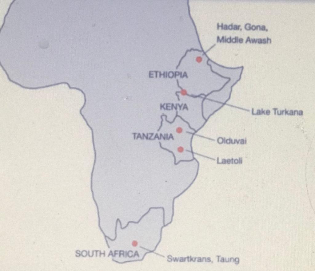 Solved Review figure 15.1 – a map of fossil sites. What do | Chegg.com