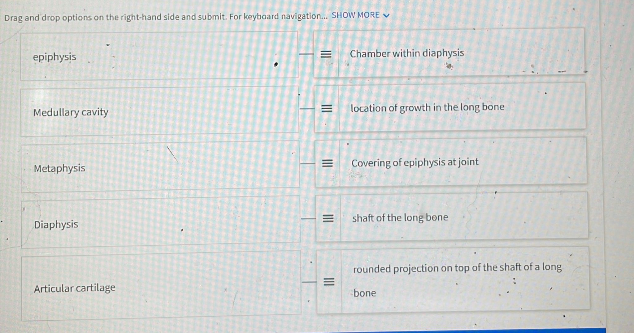 Solved Drag and drop options on the right-hand side and | Chegg.com