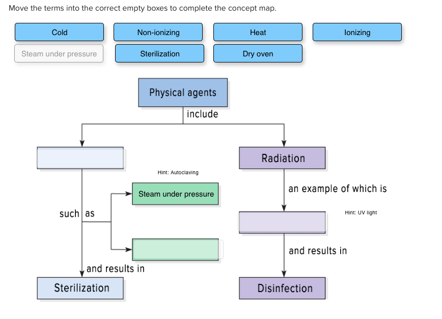 Solved Move the terms into the correct empty boxes to | Chegg.com