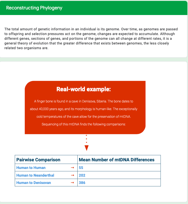 Solved Reconstructing Phylogeny The total amount of genetic | Chegg.com