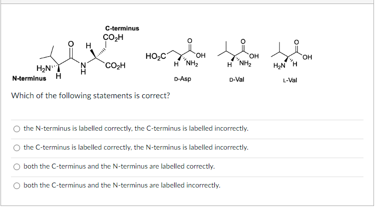 Solved Which of the following statements is correct? the | Chegg.com