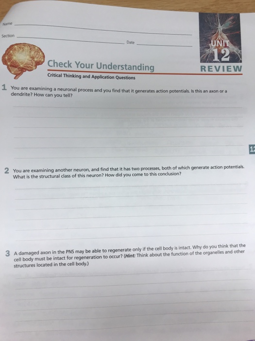 Solved Name Section Date UN 12 Check Your Understanding | Chegg.com