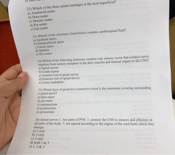 Solved 22) Which of the three spinal meninges is the most | Chegg.com