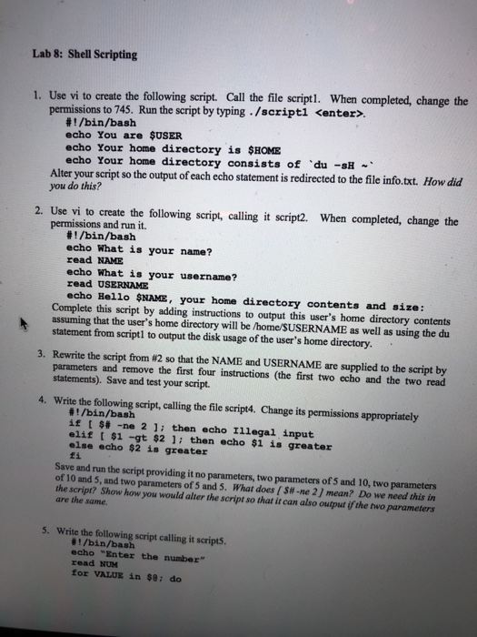 Solved Lab 8: Shell Scripting 1. Use vi to create the | Chegg.com