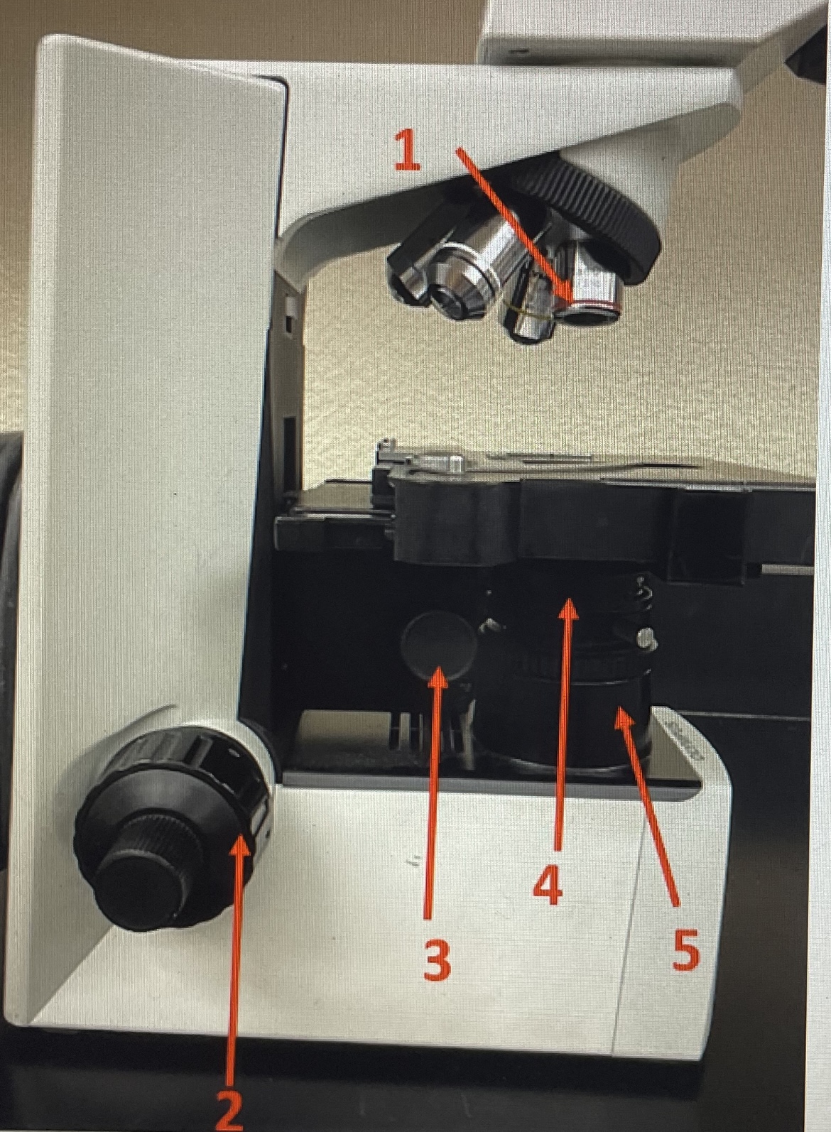 Solved What are the name and functions of each number | Chegg.com