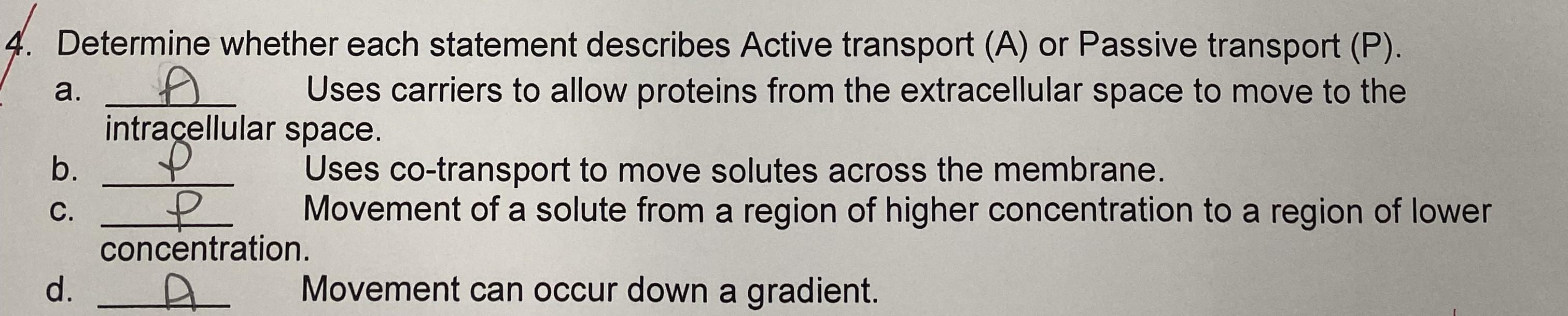 Solved Determine whether each statement describes Active | Chegg.com