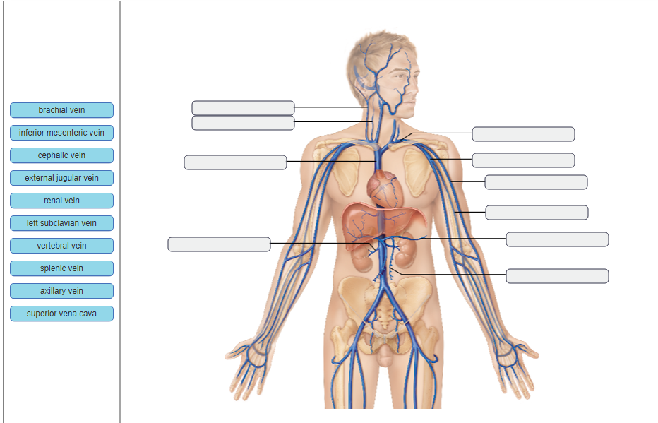 Solved PART 1-PART 2 | Chegg.com Solved PART 1-PART 2 | Chegg.com