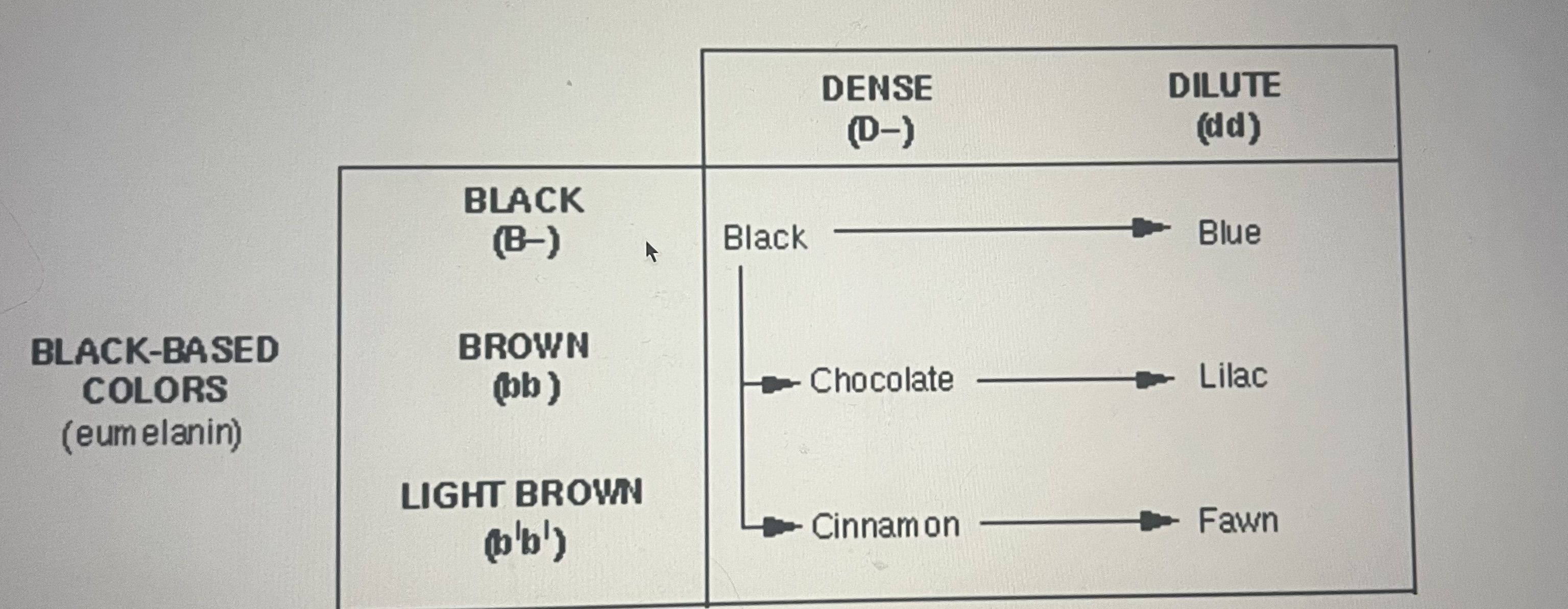 Solved In cats, the black (B) gene has three alleles that | Chegg.com