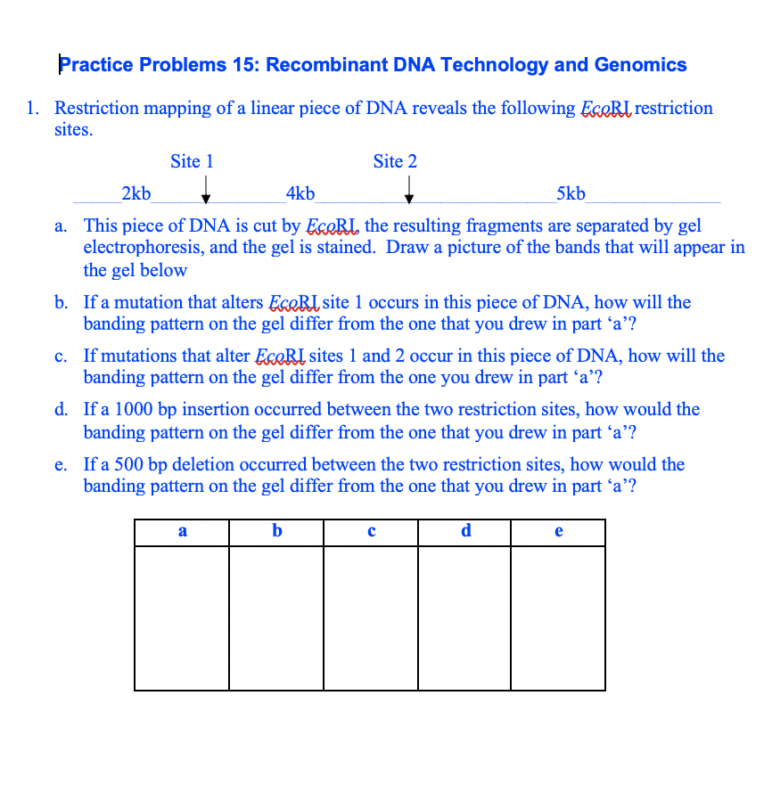 Solved Practice Problems 15: Recombinant DNA Technology and | Chegg.com