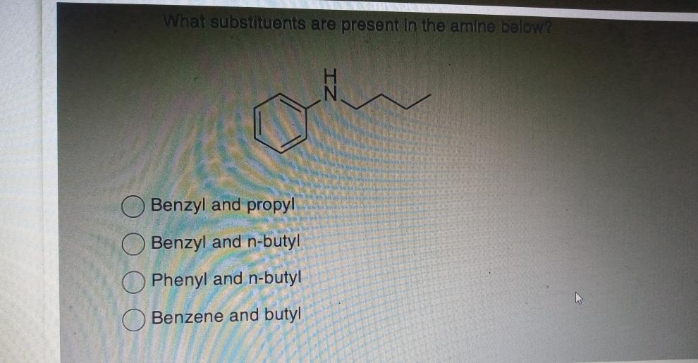 Solved What substituents are present in the amine below? | Chegg.com