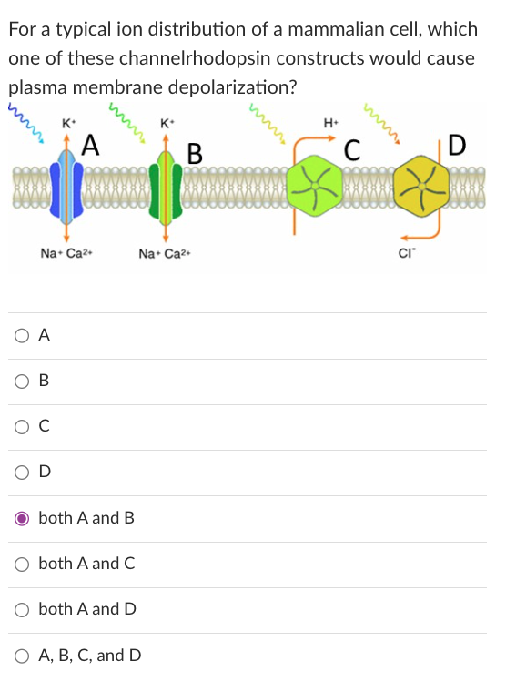 Solved For a typical ion distribution of a mammalian cell, | Chegg.com
