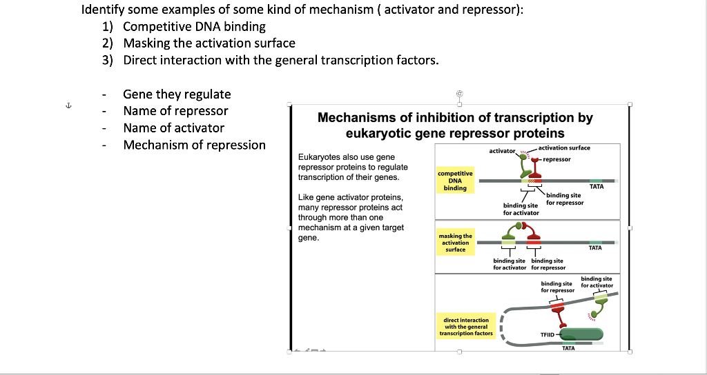 Solved Identify some examples of some kind of mechanism ( | Chegg.com